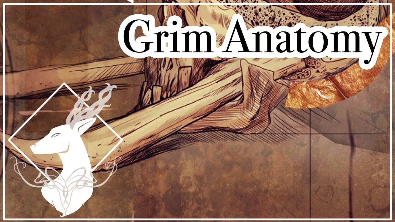 The Grim Anatomy {Lore/Theory - Spoilers All} - YouTube