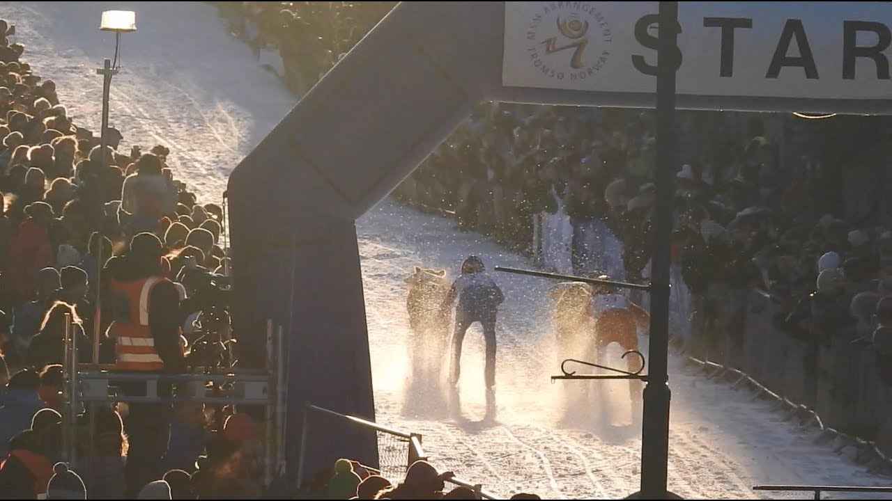 Reindeer racing Norwegian Championships 2018 - YouTube