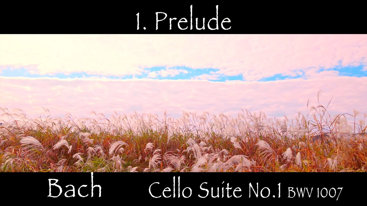 Bach _ Cello Suite No.1 BWV 1007 [4K] _ 1. Prelude - YouTube