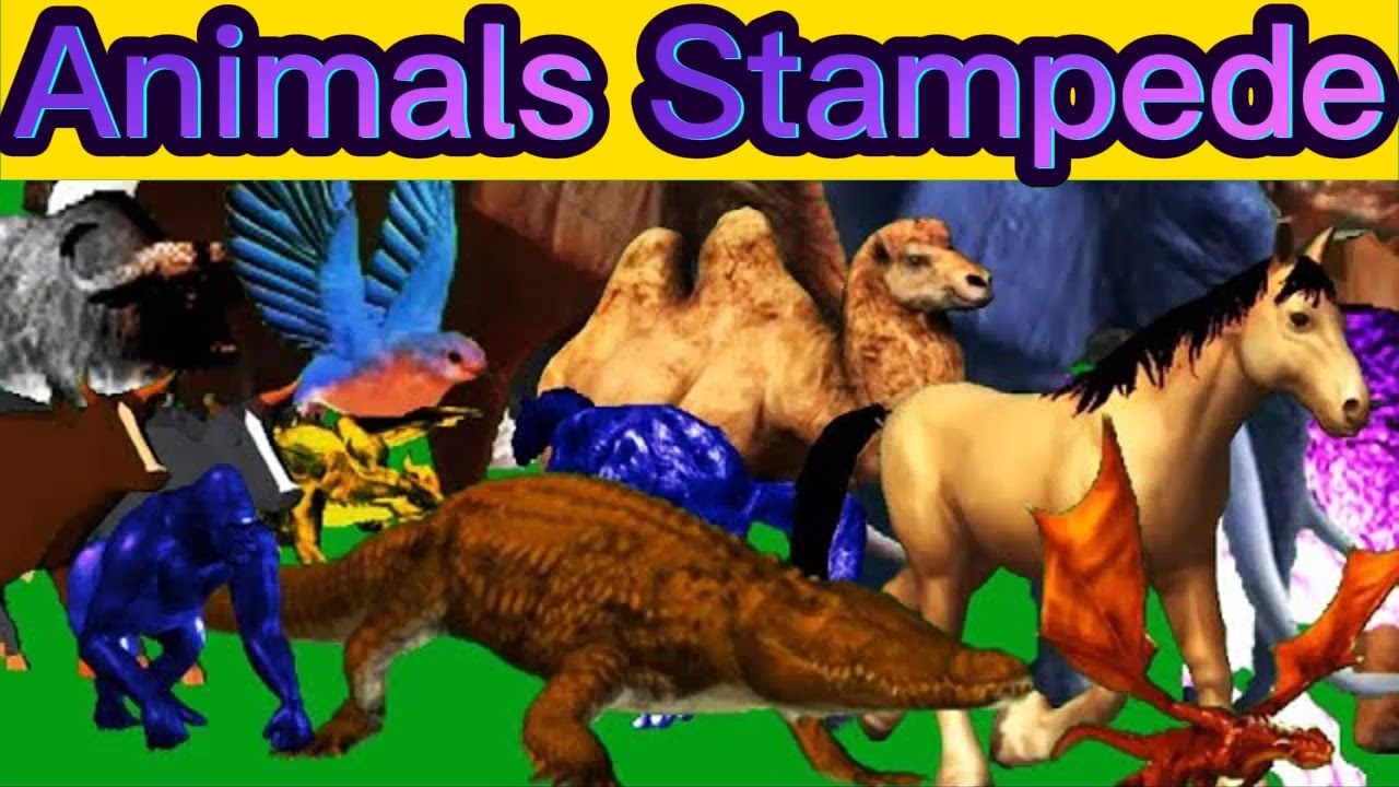 Animals Stampede Left to Right Running Walking Green Screen Blue Screen ...