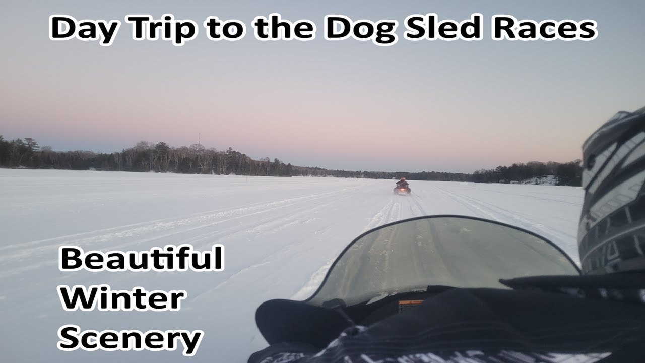 Snowmobiling the Trails, Dog Sled Races, Beautiful Winter Scenery - YouTube