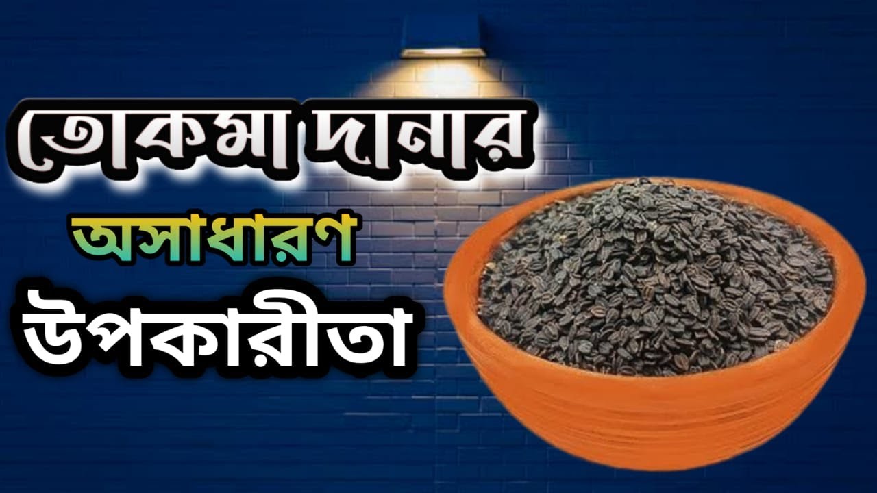 তোকমা দানা ( TOKMA SEEDS) না চিয়া সিডস ( CHIA SEEDS) ? কোনটি খাবেন ...
