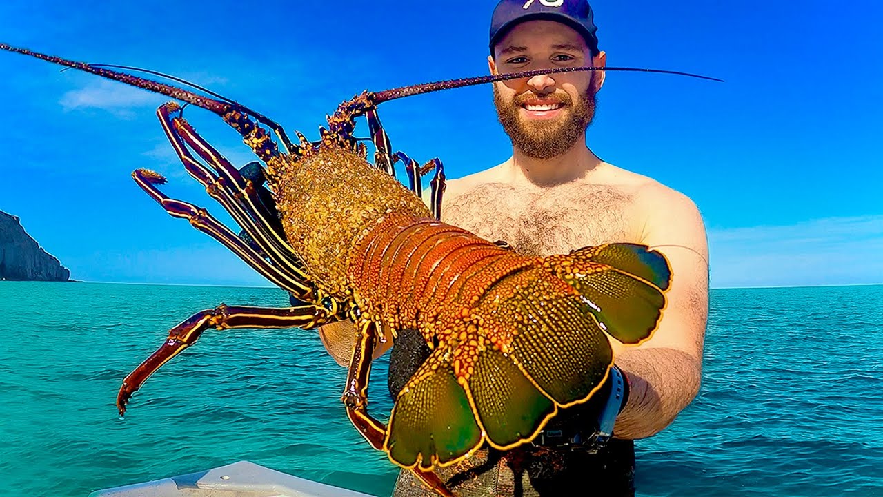 Langosta Gigante De Tasmania