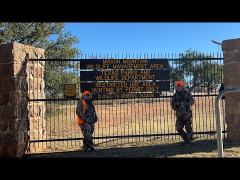 Texas Draw Hunt @ Mason Mountain WMA (Management Buck Category) - YouTube