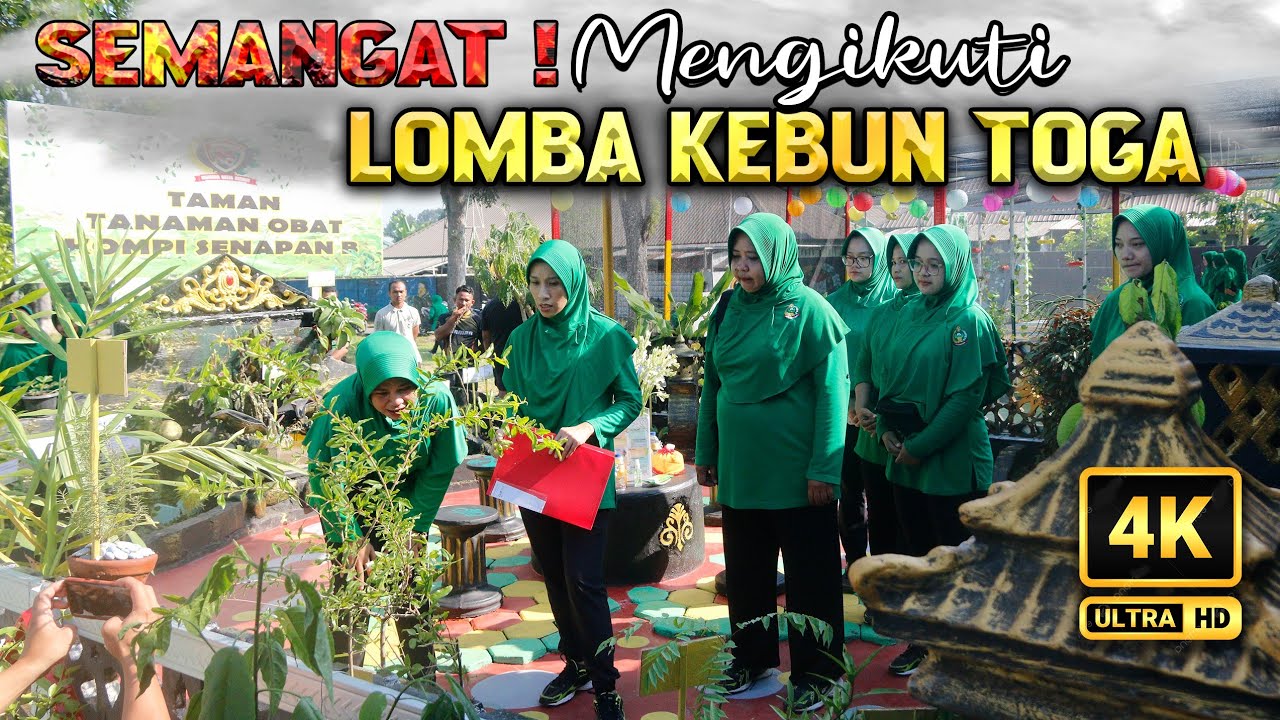 Istri Tentara Mengikuti Lomba Toga (Tanaman Obat Keluarga) Sejajaran Yonif 509 Kostrad - YouTube