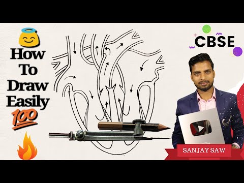 How To Draw Human Heart with Compass Step by step for beginners !