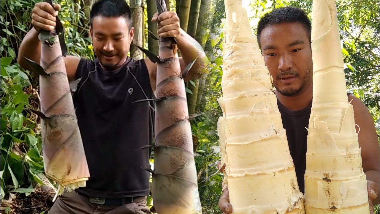 Naga Giant bambooshoot secret naga recipe - YouTube