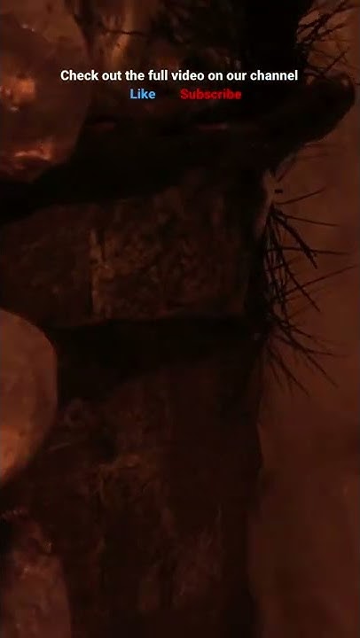 Full fireworks tutorial on our channel. - YouTube