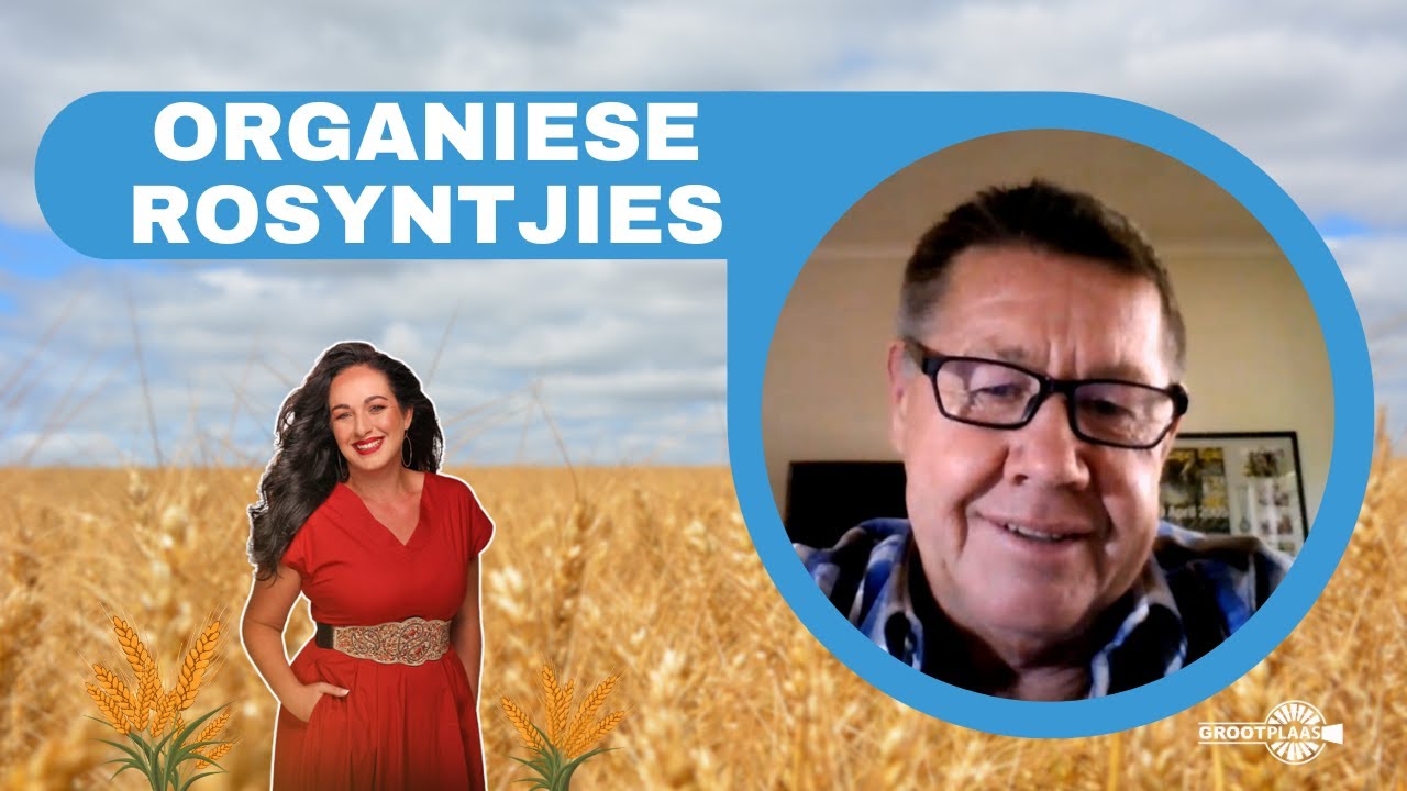 Organiese rosyntjies | Gawie Steyn | 17 Nov 2023 - YouTube