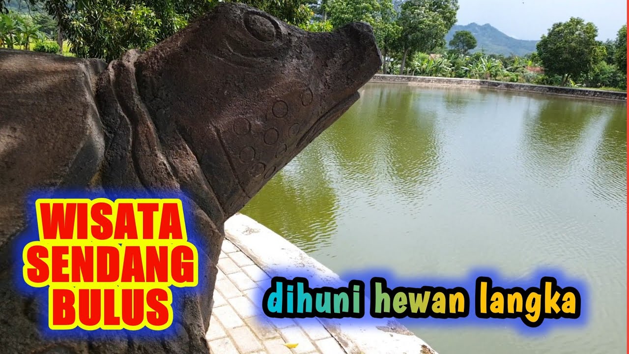 Wisata SENDANG BULUS BEJI PAGER || di huni hewan langka penyu air tawar ...