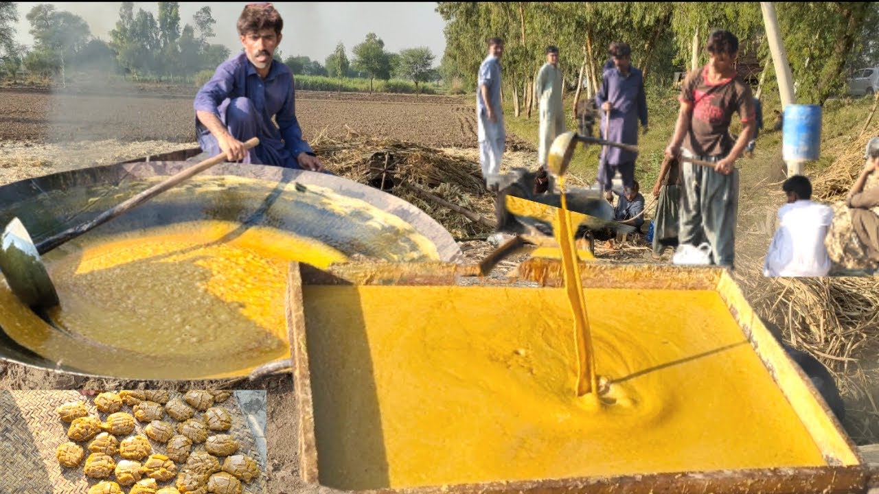 Traditional Jaggery Making Process | Organic Jaggery Production from ...