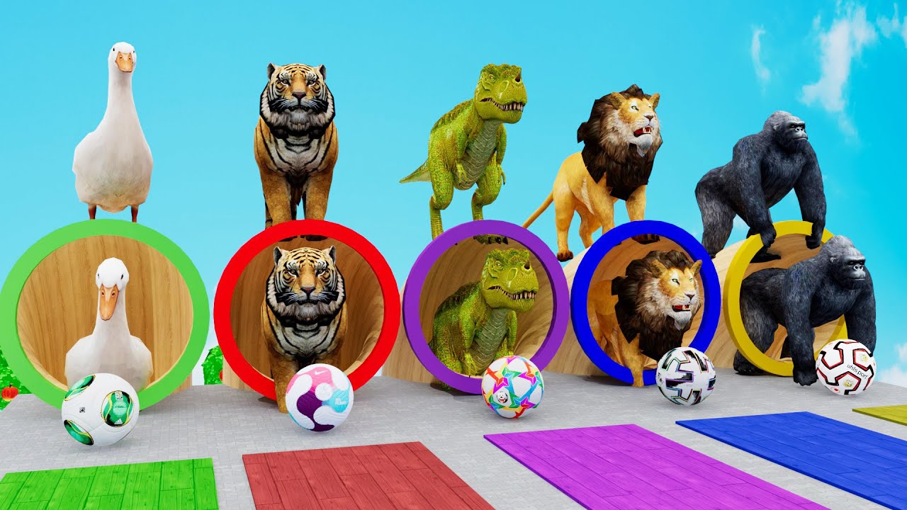 Choose the Right water pipe Game with 5 Giant Duck Tiger Gorilla Lion ...