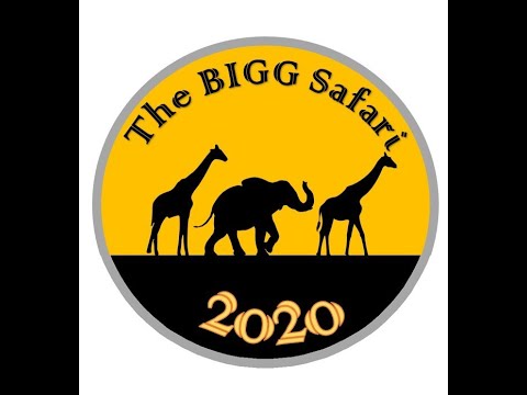 SNAKE - The BIGG Safari - Makaton Animals - Sign Language - YouTube