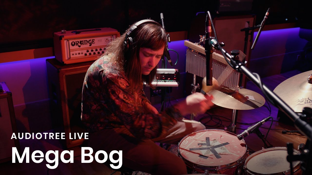 Mega Bog - Diary of a Rose | Audiotree Live - YouTube
