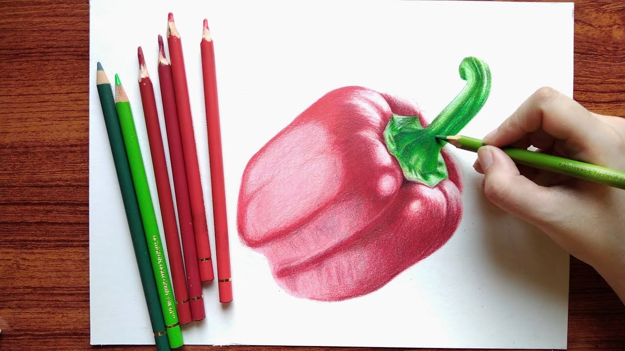 Draw a Capsicum with Color Pencils | Step by step tutorial for ...