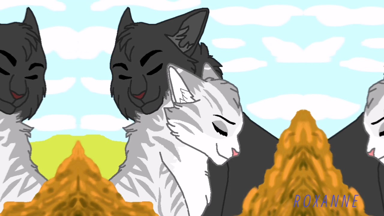 Warrior Cats Feathertail And Crowfeather