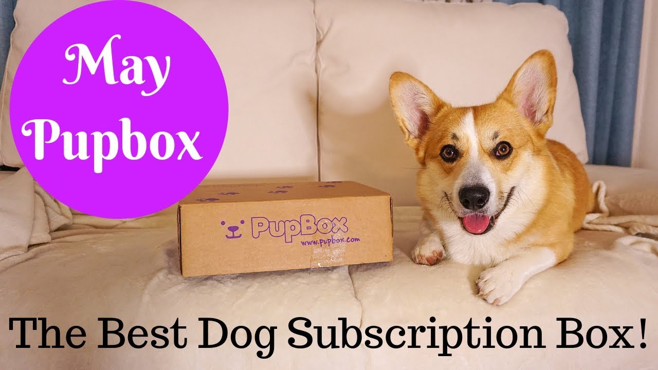 Pupbox Unboxing | May 2019 - YouTube