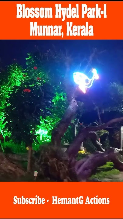 Blossom Hydel park, #Munnar, #Kerala #travel - YouTube