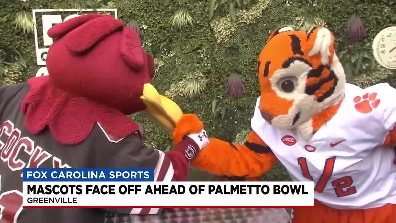 Mascots face off ahead of Palmetto Bowl - YouTube