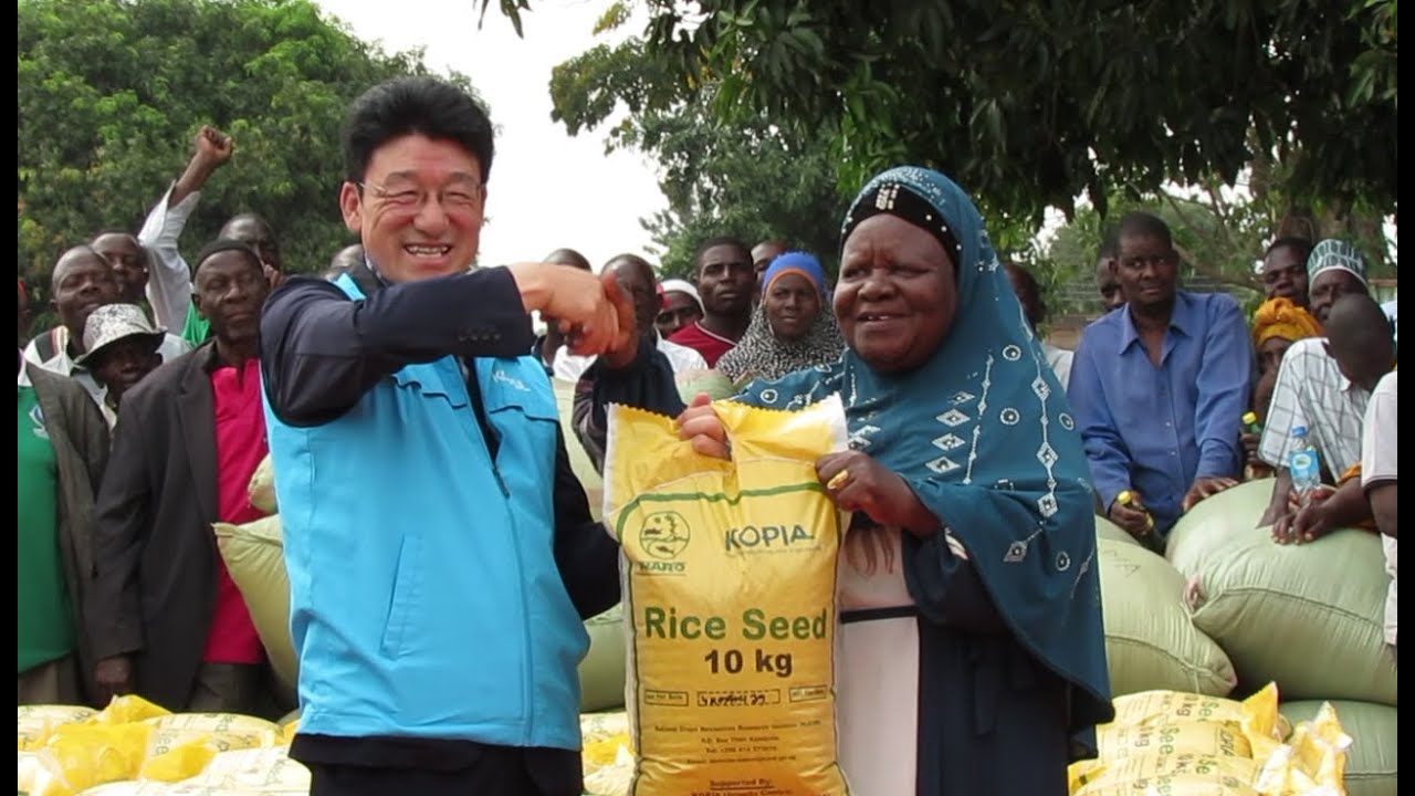 DOHO RICE FARMERS READY TO ENTER GLOBAL MARKET WITH AROMATIC RICE AFTER ...