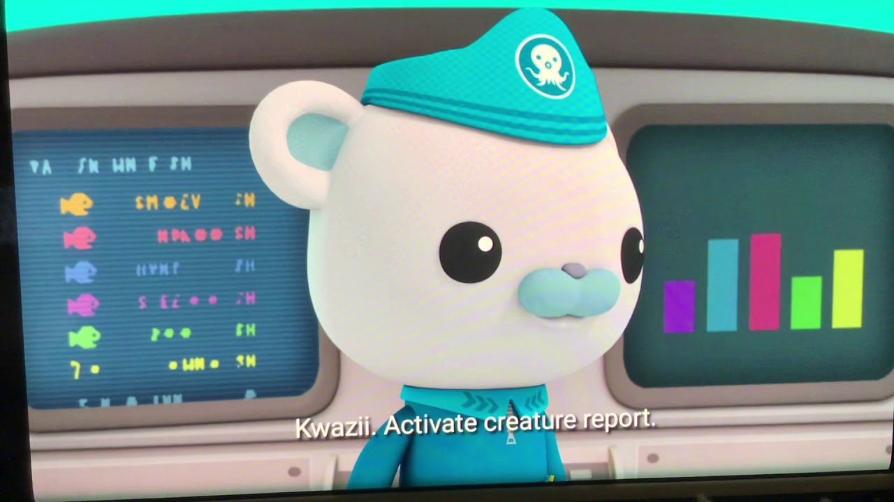 Creature report sea lion - YouTube