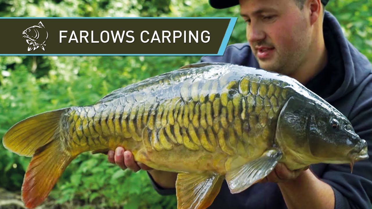 Carp Fishing at Farlows Lake with Jordan Dicks - YouTube