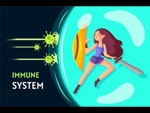 Ways to strengthen your immune system- How to boost immunity-Fight off ...