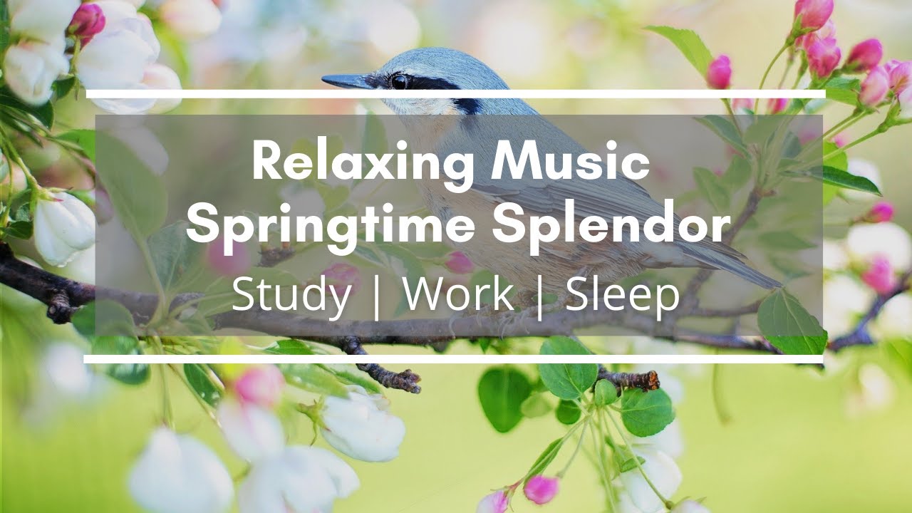 Springtime Splendor - Relaxing Music For Meditation, Study, Work ...
