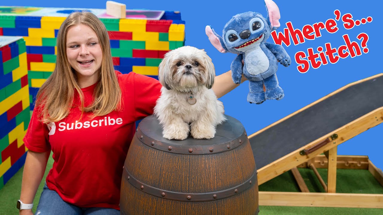 Asssitant and Waffles Locate Lilo And Stitch in the Giant Lego Maze ...