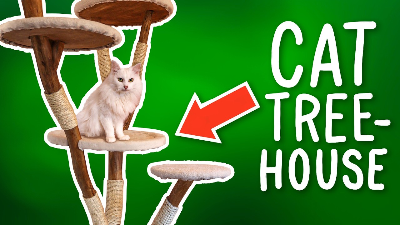 I build a DIY Natural Cat Tree From REAL Wood - In Just 3 DAYS - YouTube
