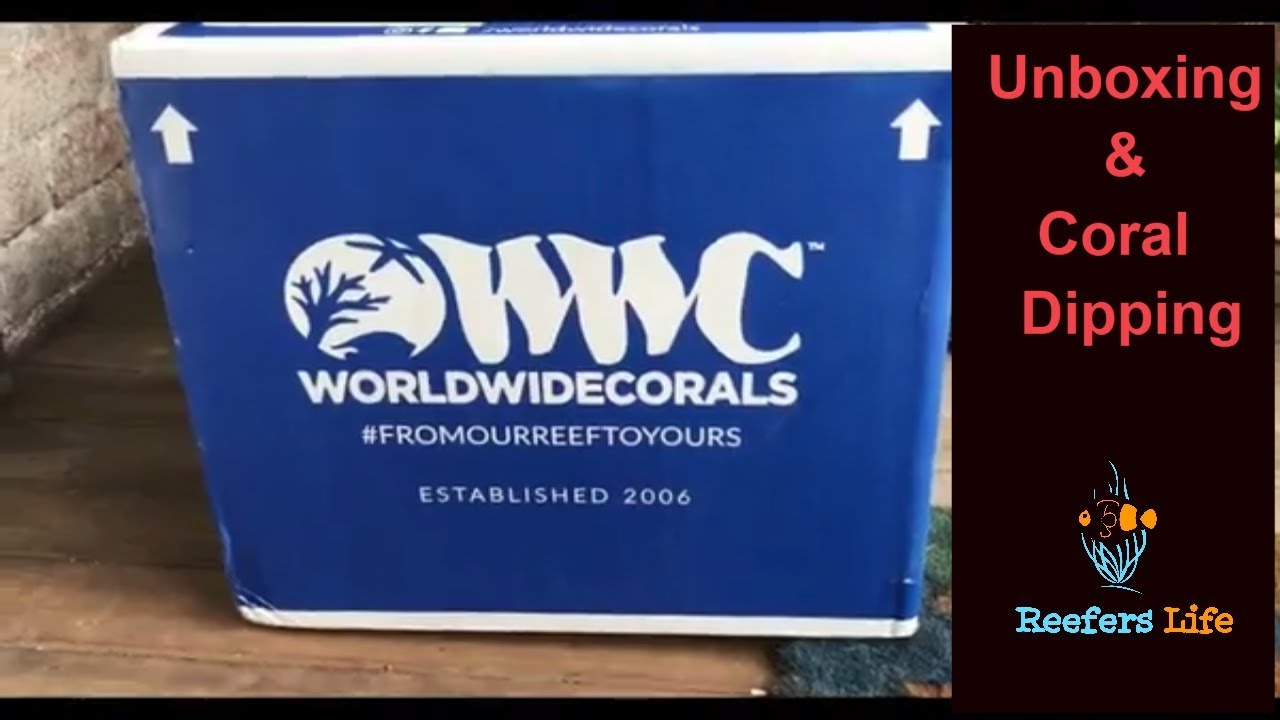 Unboxing World Wide Corals and Dipping Corals with Coral Rx and Revive ...