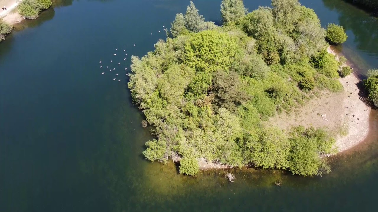 Burton Riggs - YouTube