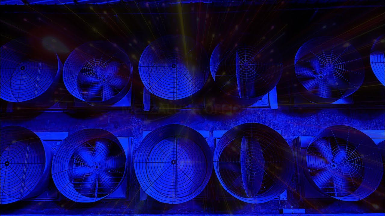Fan Noise with Blue Screen | Fan Sounds For Deep Sleep | 11 Hours of ...