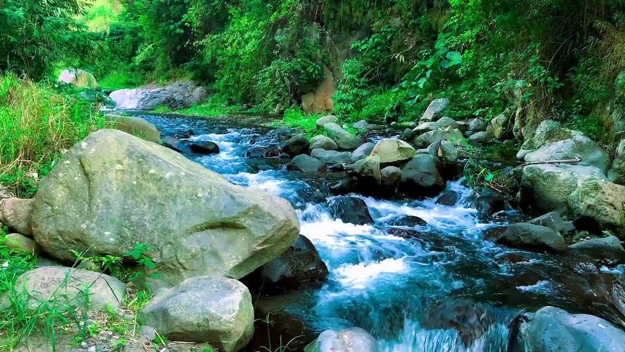 Calming Stream Sounds for Study, Mindfulness Practice - YouTube