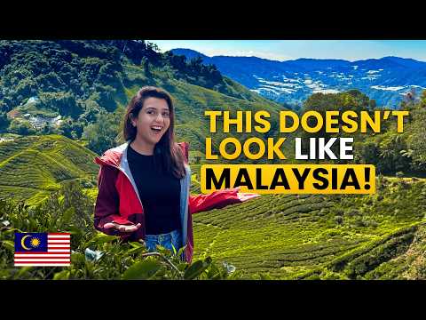 2 Days in Visa Free Hill Station In Malaysia - Tea Gardens, Forests, Farms & More |Cameron Highlands