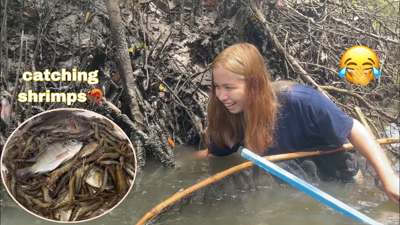 CATCHING SHRIMP USING PUSH NET | Vlog#262 - YouTube