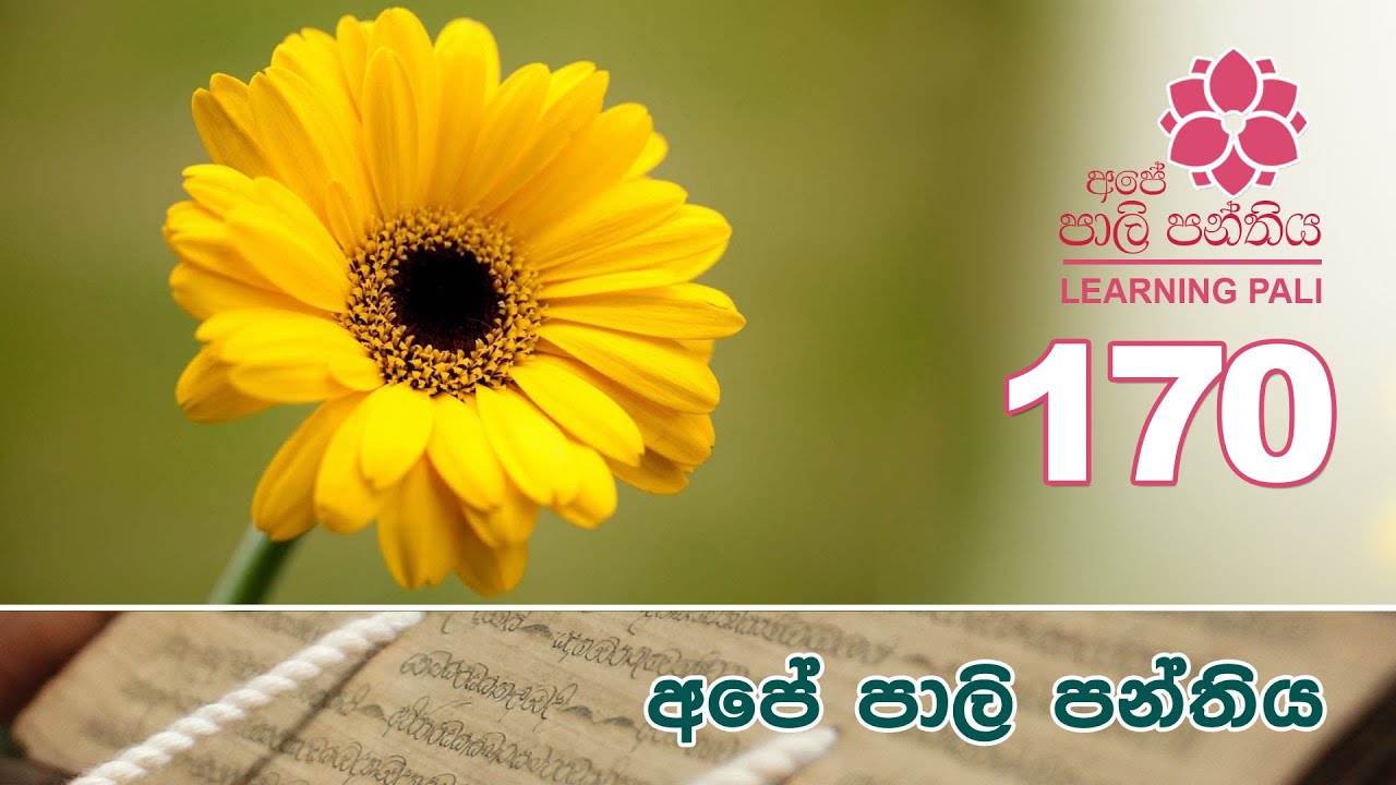 Learning Pali language 170 | අපේ පාලි පන්තිය 170 - YouTube