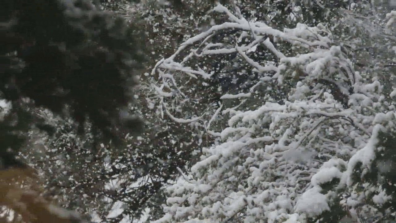 2019 — A late season snow in Idyllwild California - YouTube
