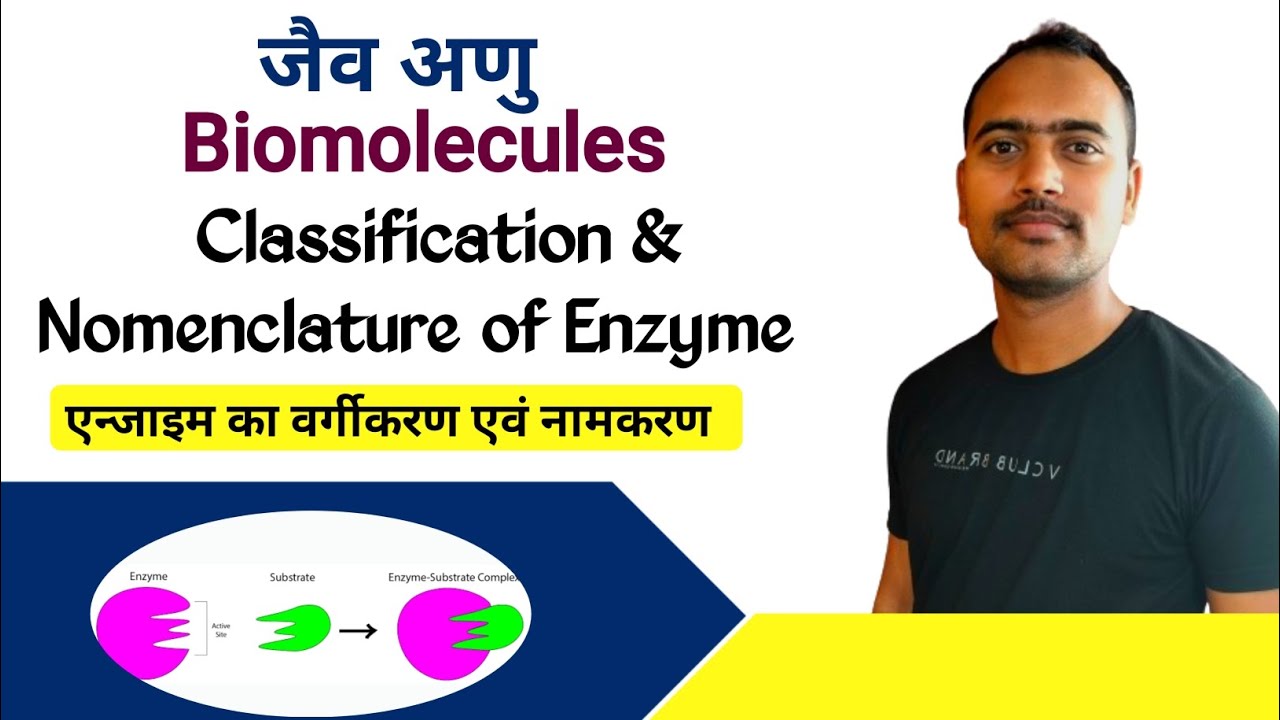 Classification of enzymes | 6 types of enzymes | Nomenclature of Enzyme ...