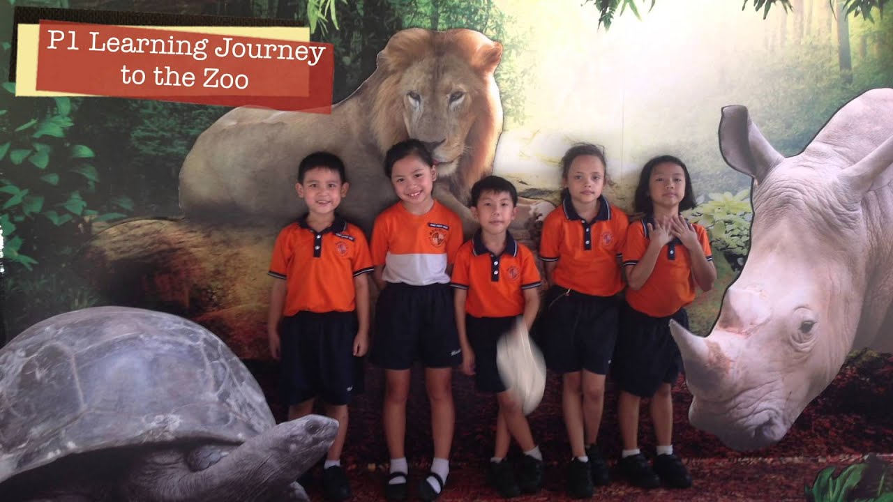 Year-End Video Highlights of Meridian Primary School 2014 - YouTube