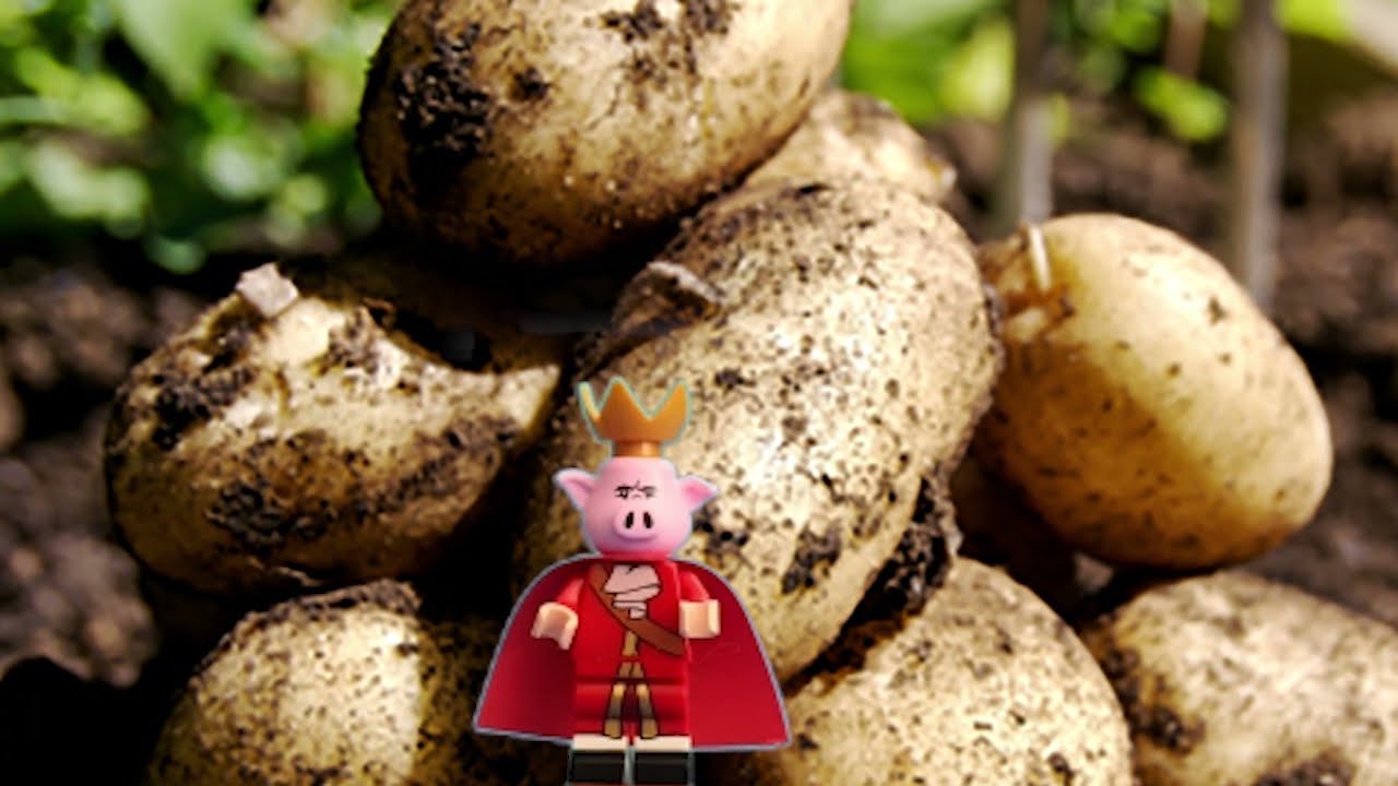 Minecraft TechnoBlade The Potato Dome Potato War Lego Stop Motion - YouTube
