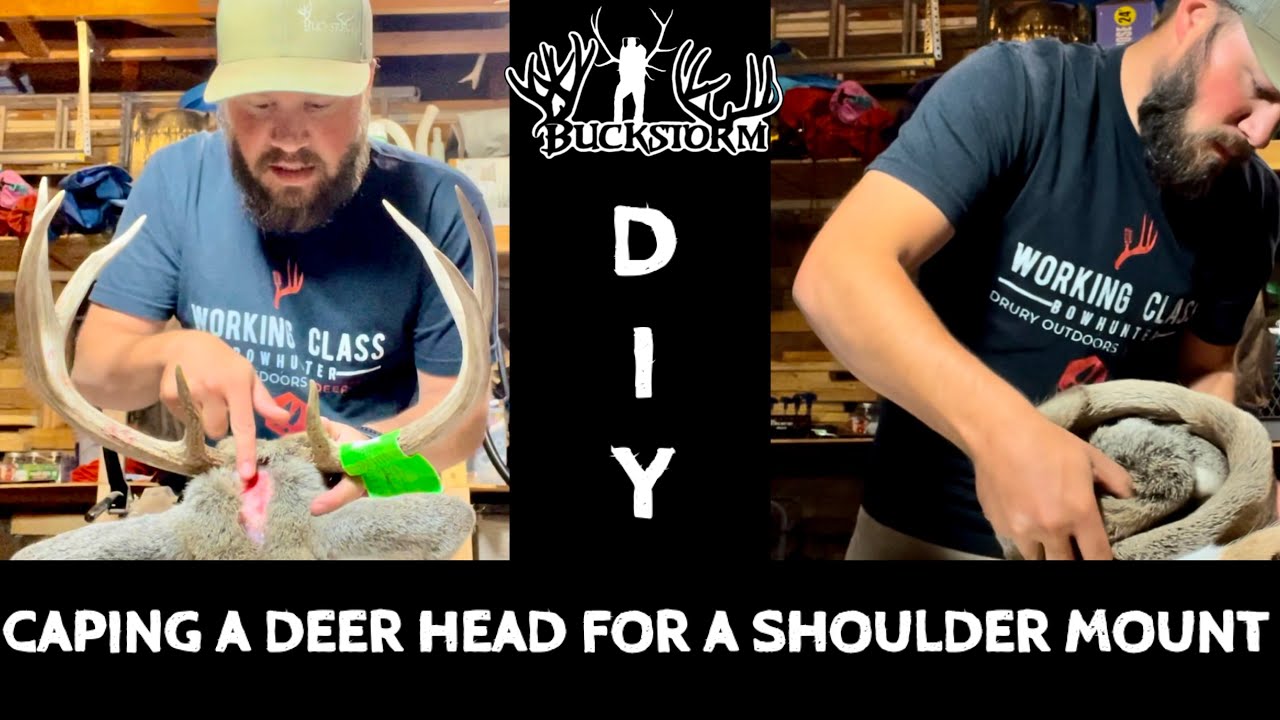 CAPING A DEER HEAD FOR A SHOULDER MOUNT | TAXIDERMY PREP - YouTube