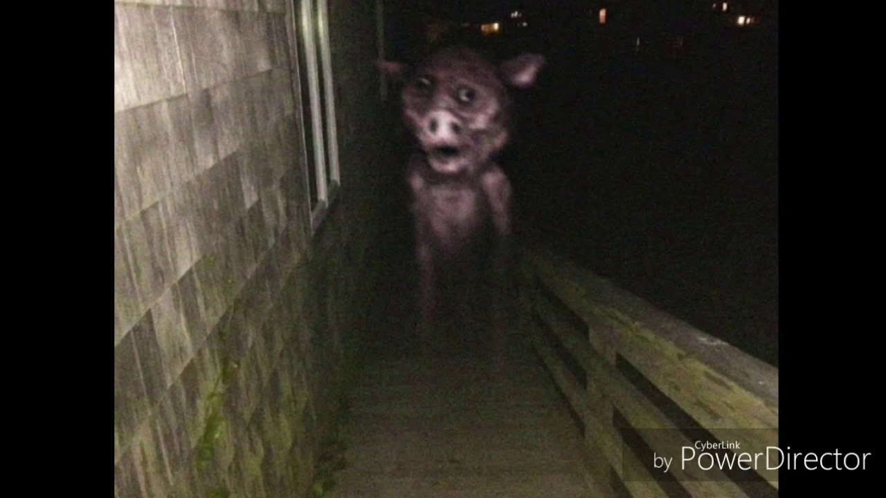 Unnerving Images With Playful Music - YouTube