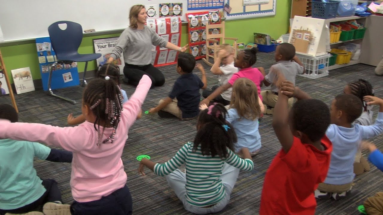 APS All Access: Stillness, Movement, Music and Case Calm (Case CLC ...