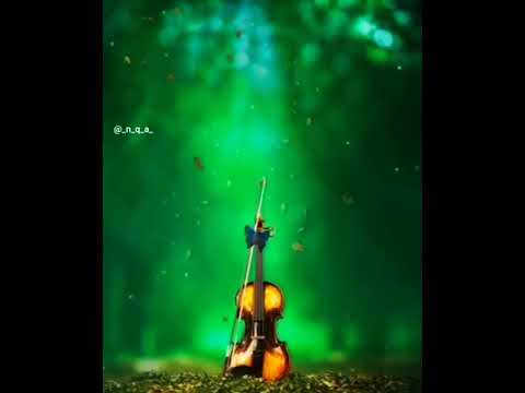 WhatsApp üçün yeni status video və mahnı 2019 mp3