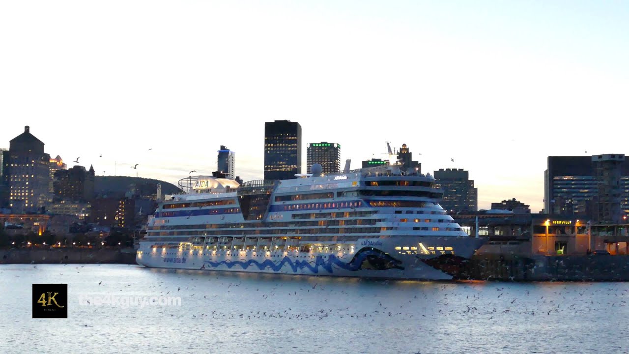 4K UHD - Cruise ship at port with large flock of birds landing in the ...