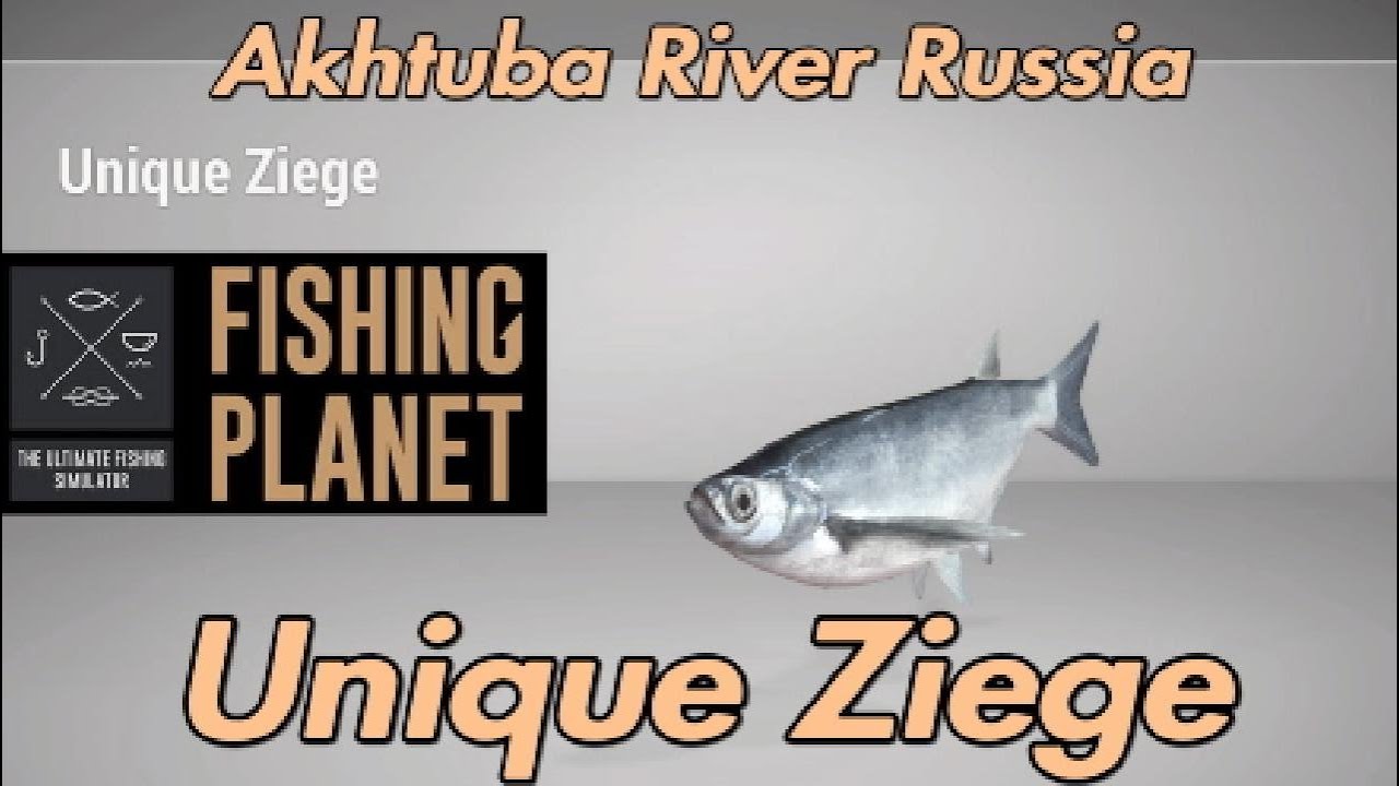 Unique Ziege - Akhtuba River Russia - Fishing Planet Guide - YouTube