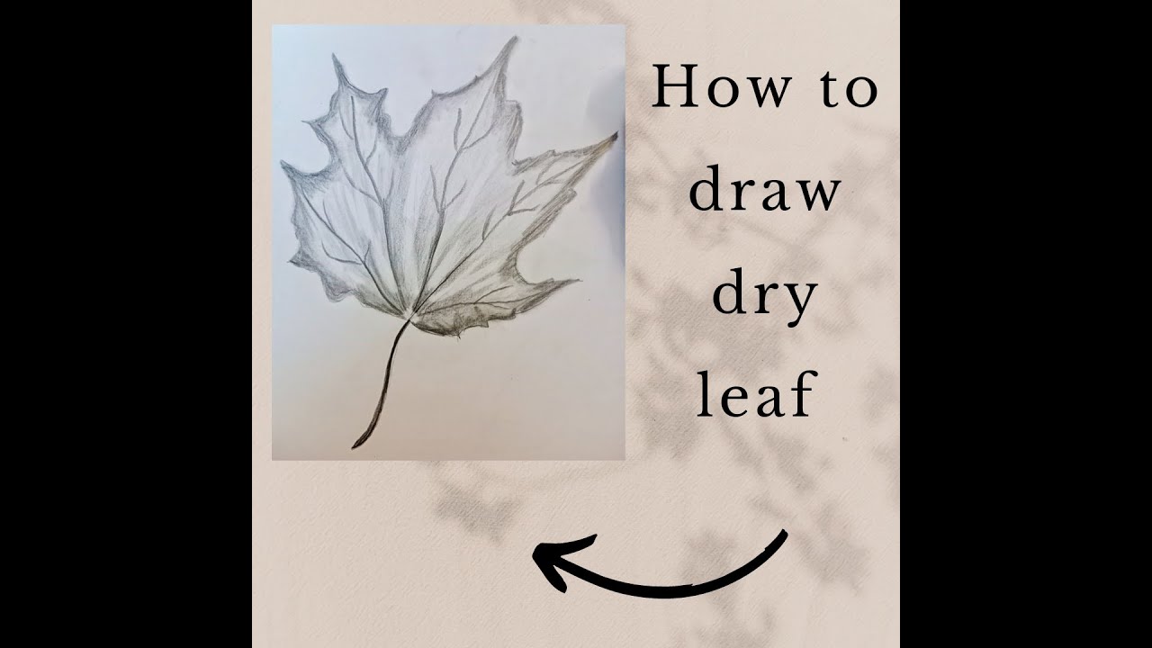 how to draw a dry leaf #drawing #leaf #WatchDeeptidraw #pencildrawing # ...