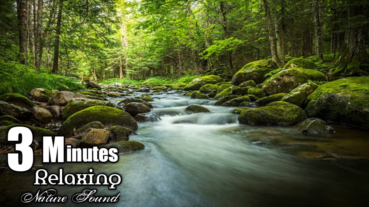 Water relaxation sound | Relaxing meditation | Nature sounds - YouTube