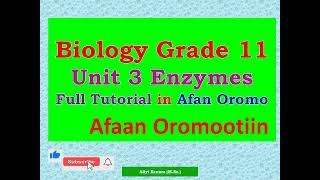 New Curriculum Biology Grade 11 Unit 3 Enzyme Tutorial Part 2 In Afan ...